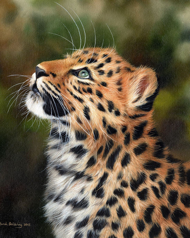 Paint by Numbers - Curious leopard – Figured'Art