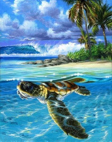 Paint by numbers - Relaxing Turtle – Figured'Art